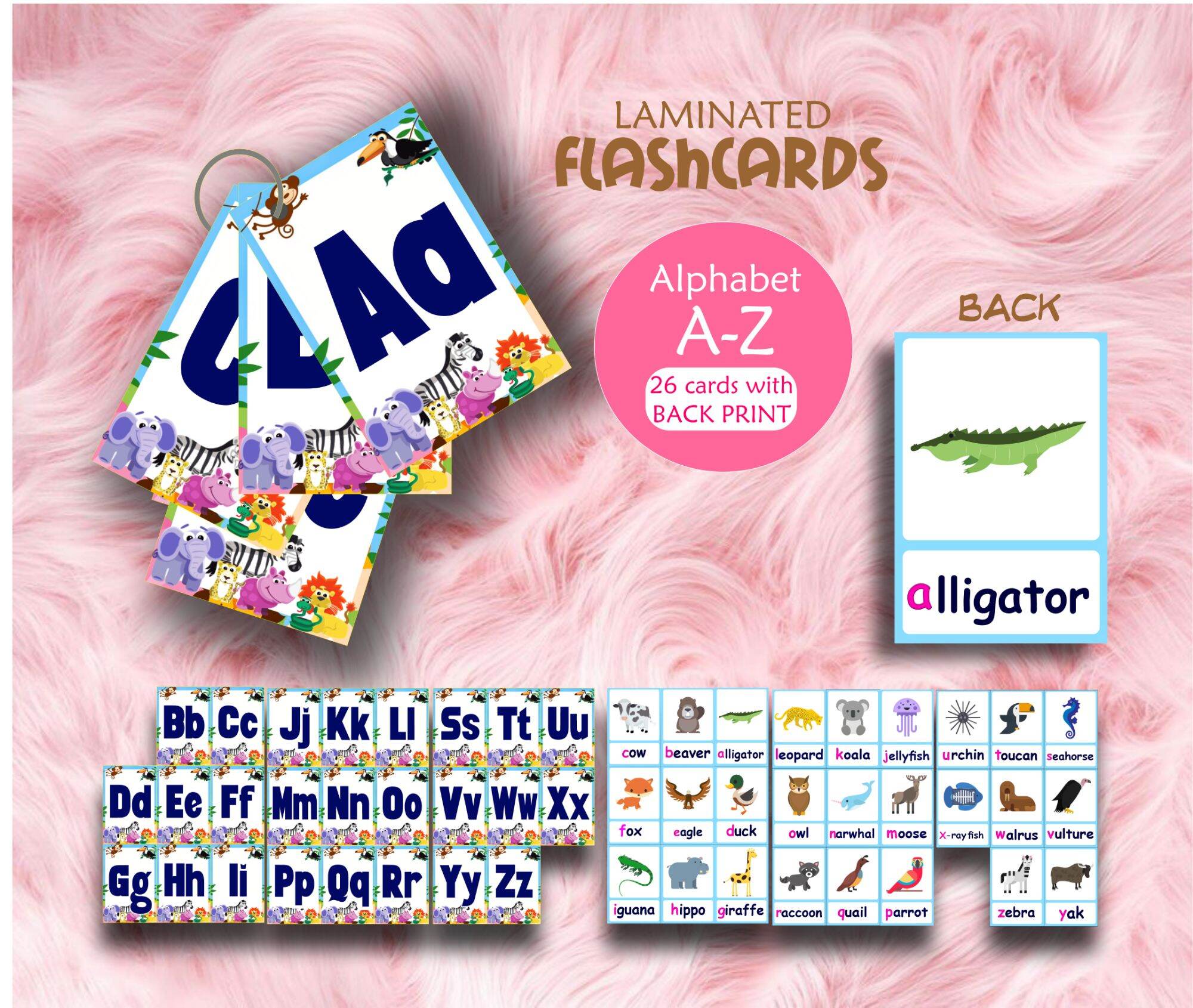 Alphabet Flashcard with / without backprint and ring bind | Lazada PH