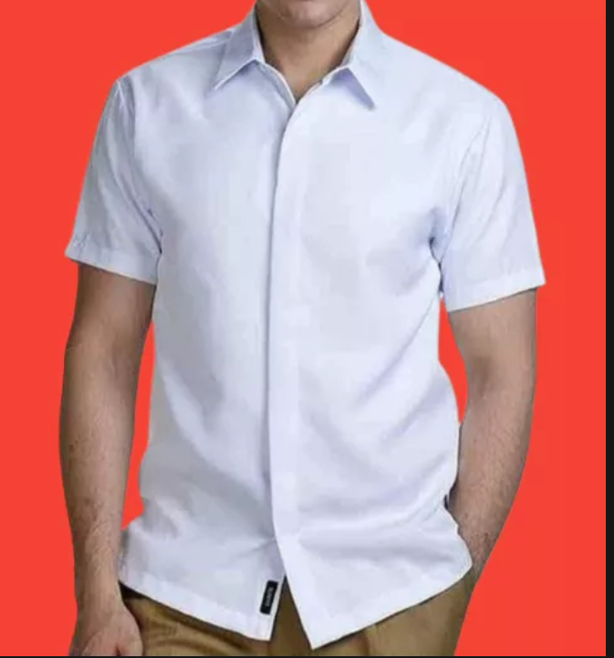Polo Barong School Uniform 14 to XL Size | Lazada PH