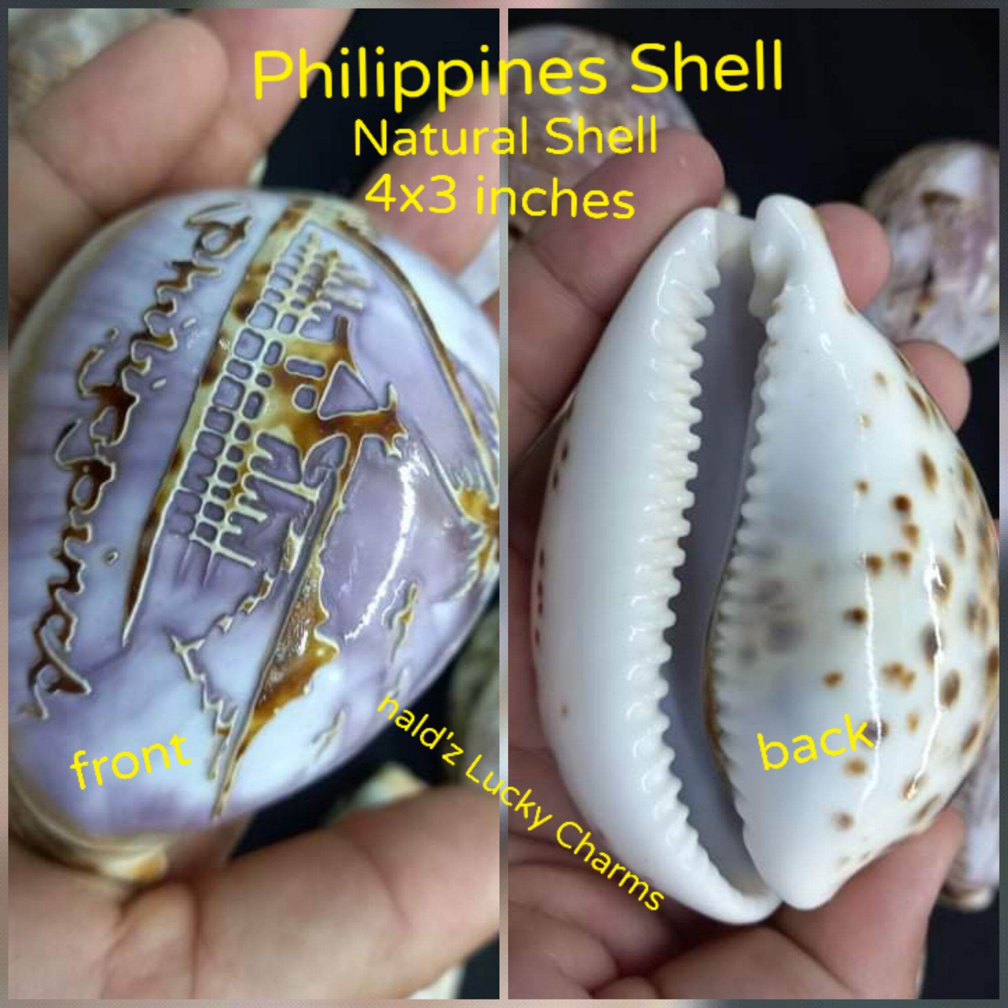 Philippines Shell Natural Shell with design malacañang, Sold per pcs ...