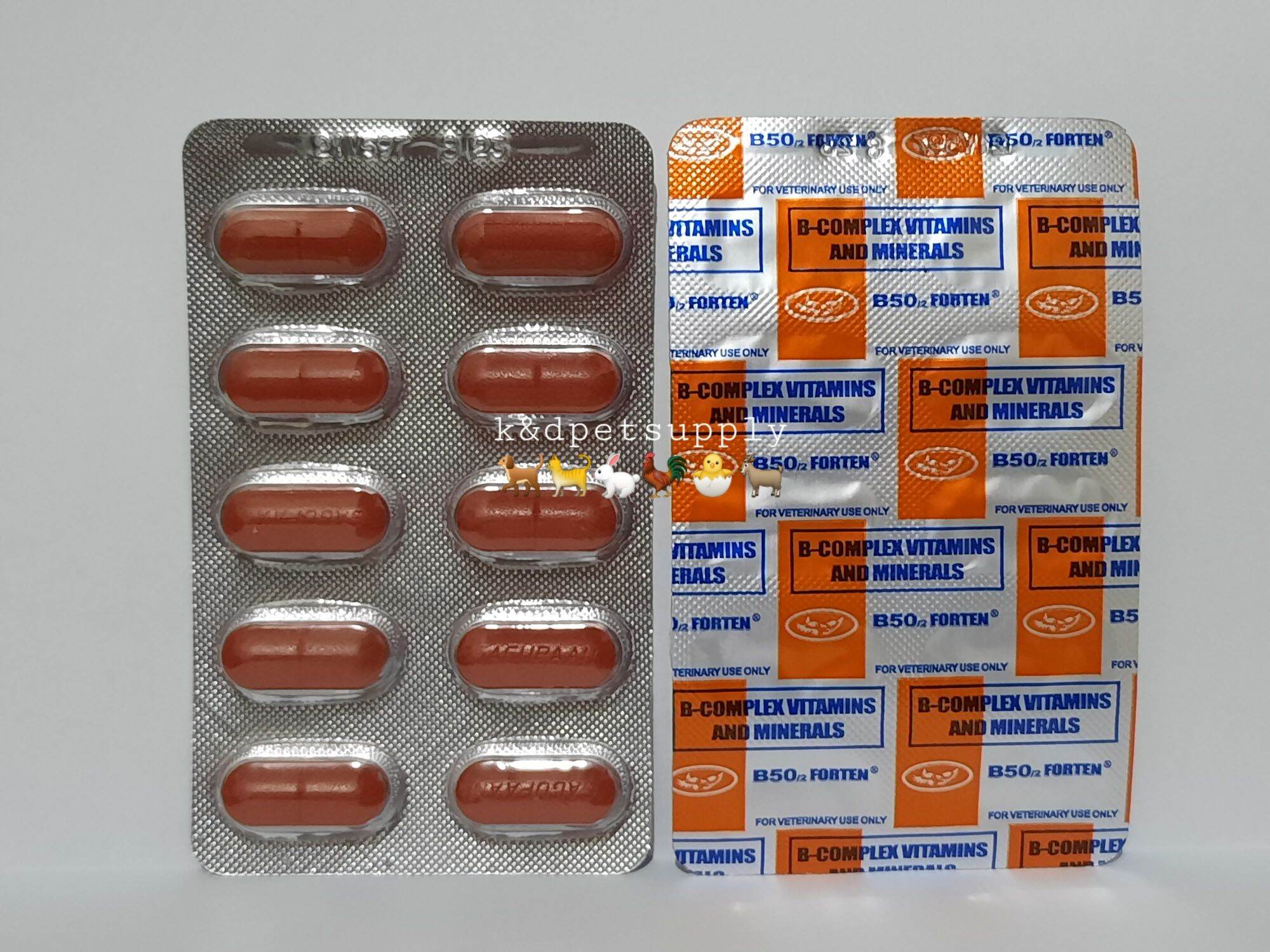 B-50 FORTEN SOLD BY 10 TABLETS | Lazada PH