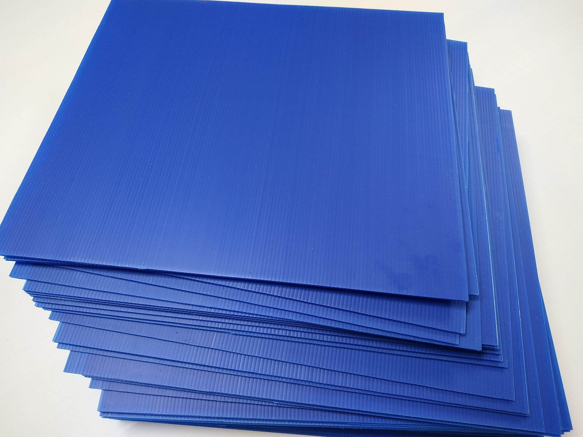 High Quality Corrugated Plastic Blue | Lazada PH