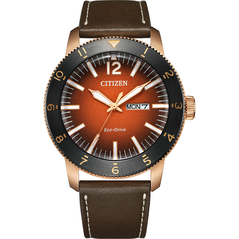 Citizen Official Authentic Products Stainless Steel Rose-Plated Golden ...