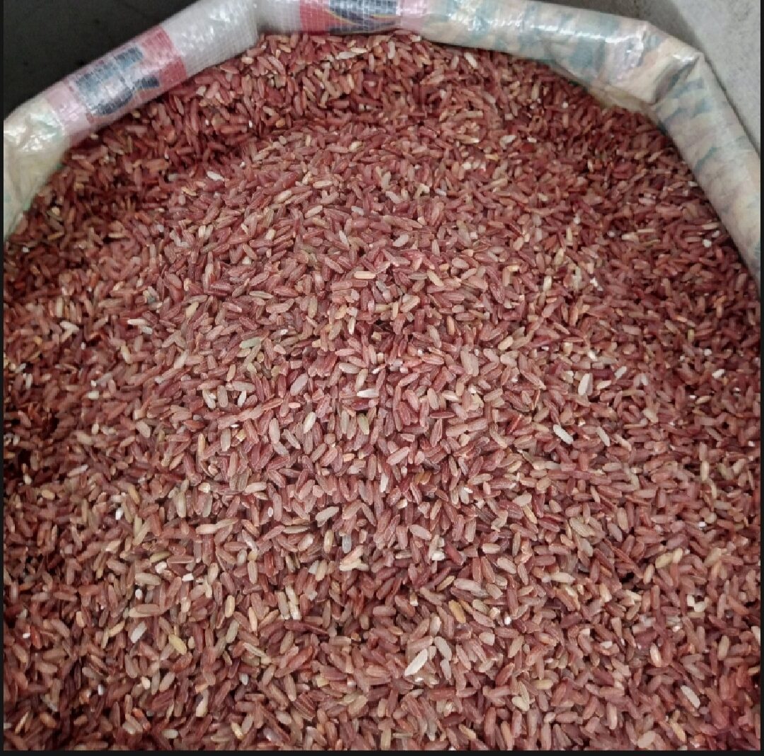 Red Rice From Mindoro 1kg | Lazada PH