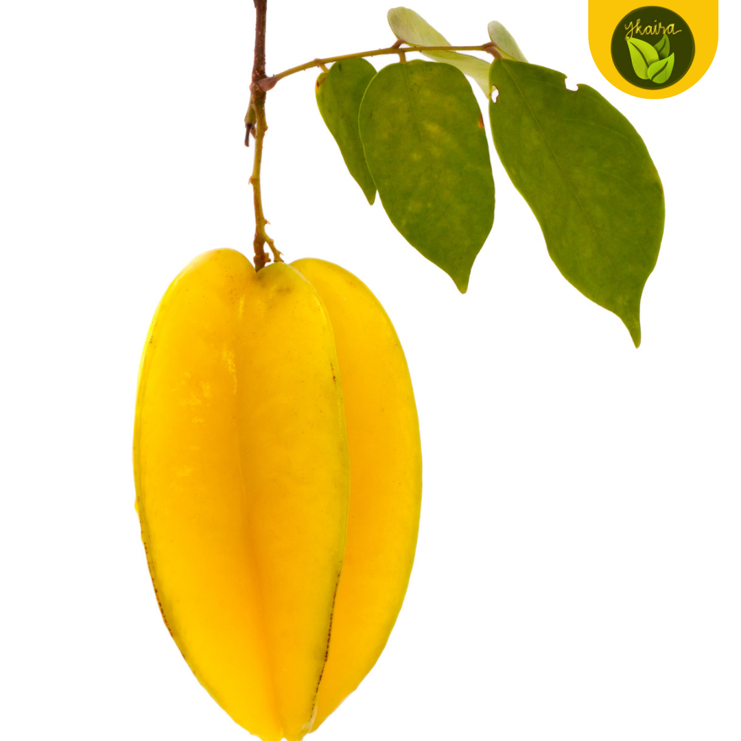 50 seeds for planting binhi pantanim balimbing starfruit | Lazada PH