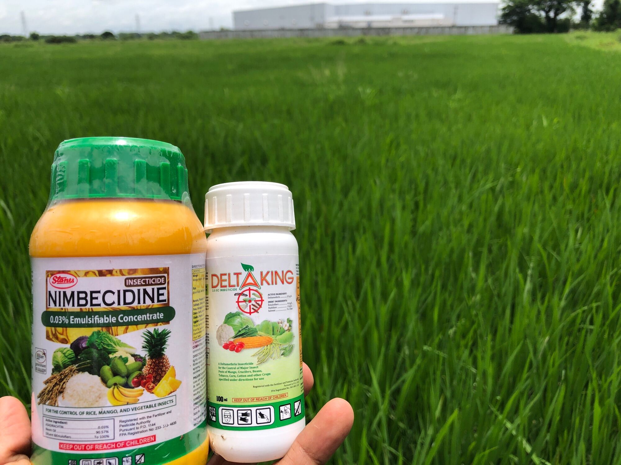 TwinPack Nimbecidine 250ml and Delta King 100ml Insecticide Power ...