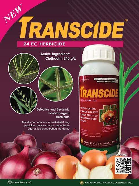 Transcide 24 EC Herbicide ( 500ml ) | Lazada PH