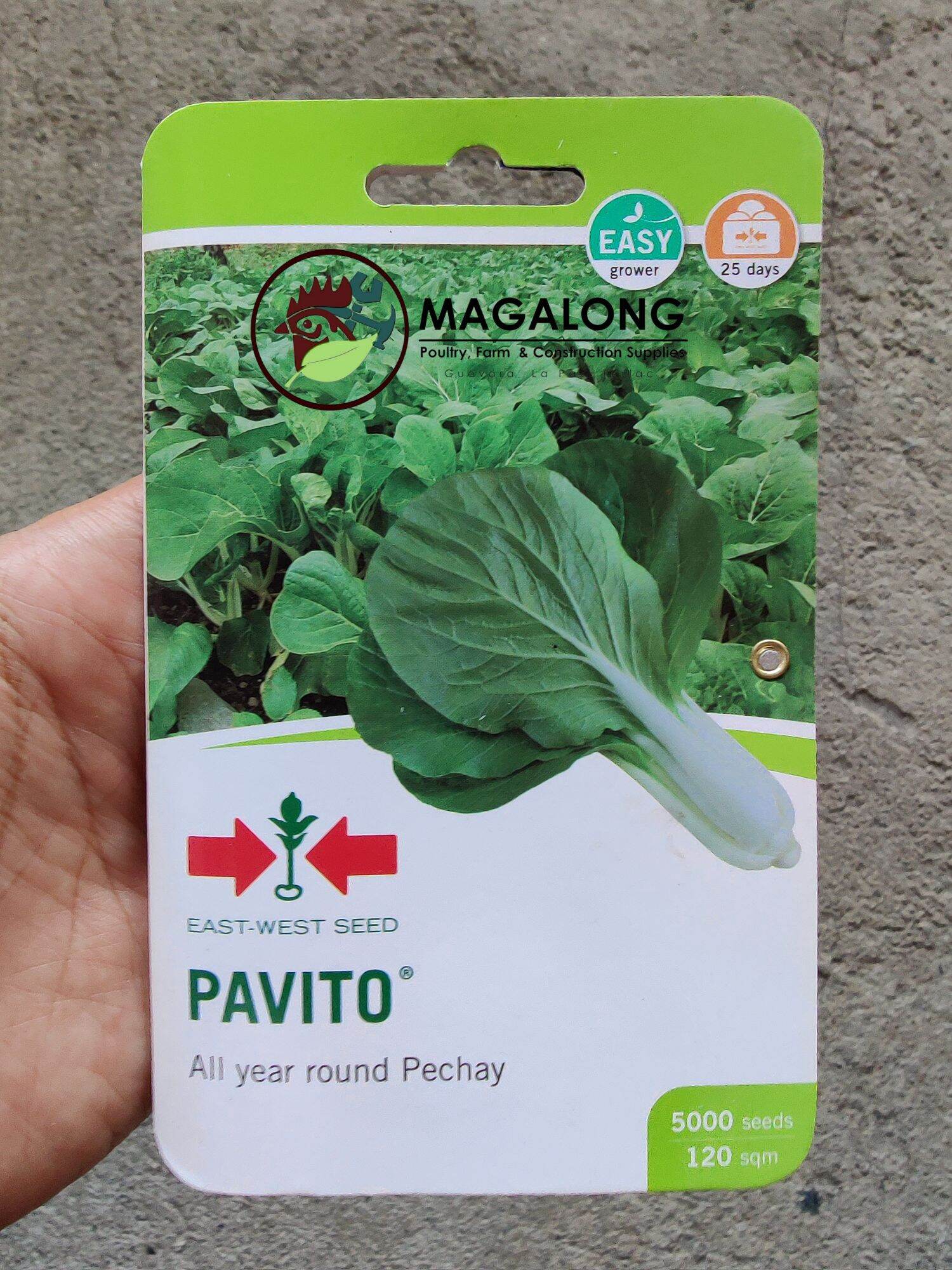 EAST-WEST SEEDS - PECHAY SEEDS - PAVITO 5,000 Seeds | Lazada PH