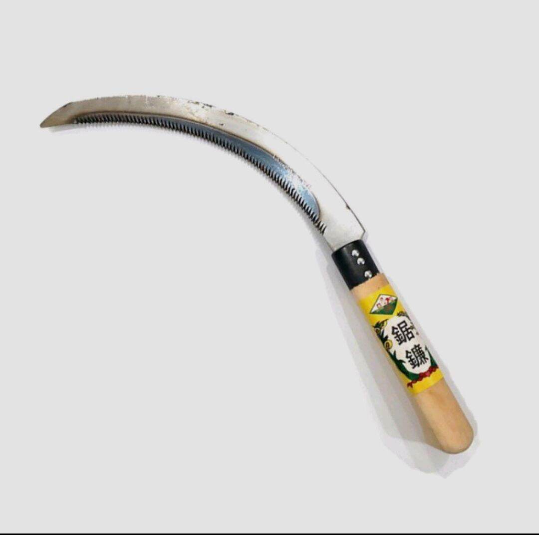 high quality native lilik / karet available | Lazada PH