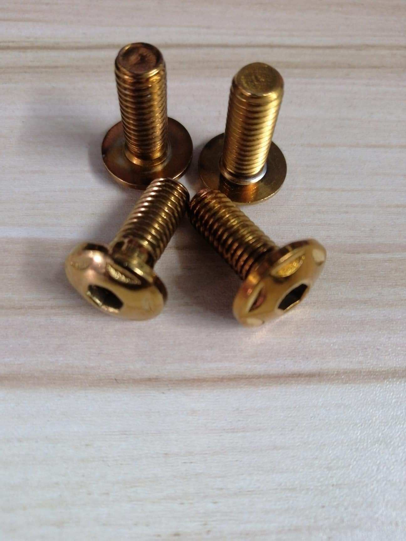 DISK BOLT GOLDBOLTS SET 4pcs. | Lazada PH