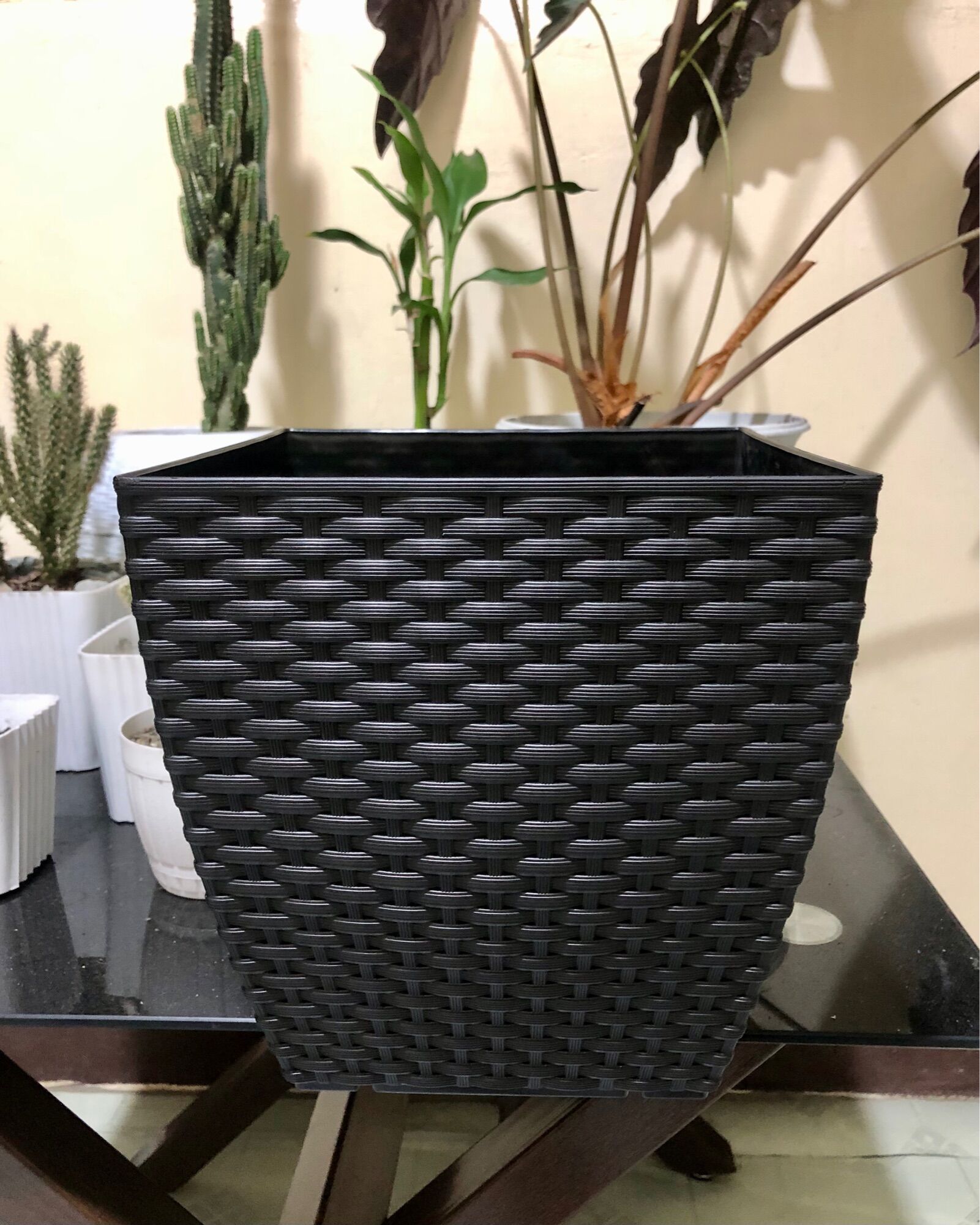 Rattan Plastic Pots ( Medium ) | Lazada PH