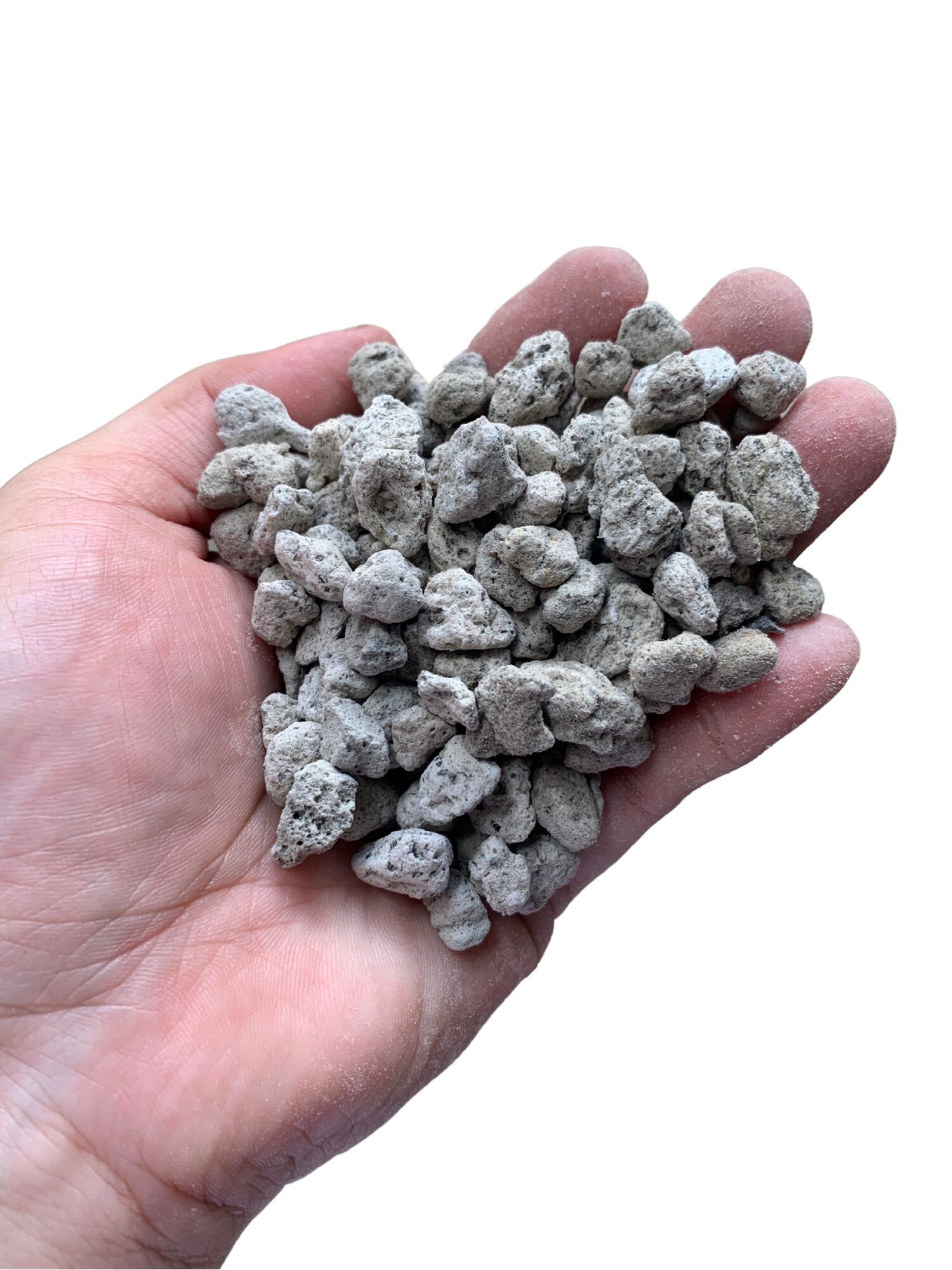 Pumice - Corn Size 1 Kilo by Curated Plants | Lazada PH