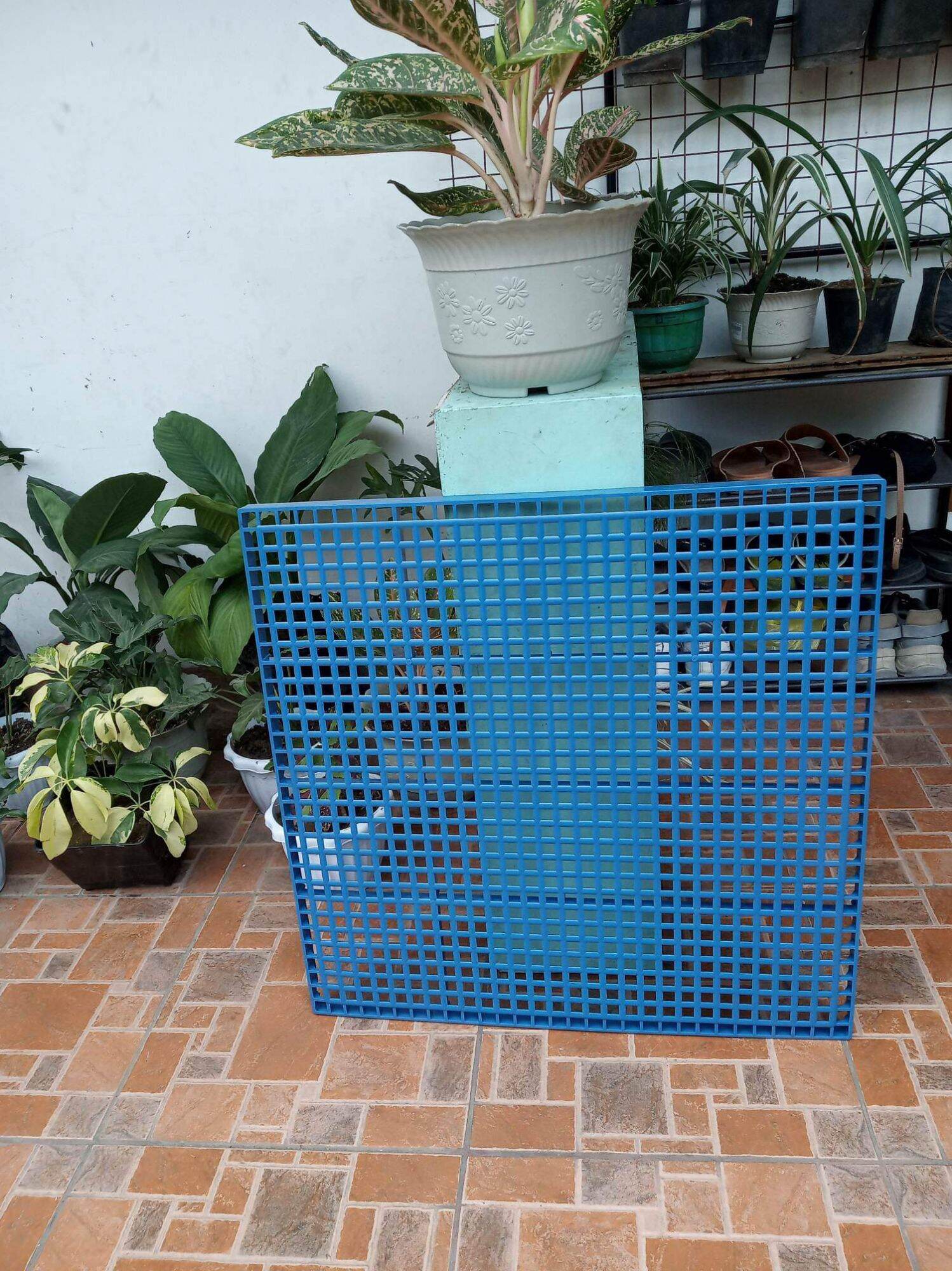 2x2 RABBIT PLASTIC MATTING,2X2 RABBIT PLASTIC MATTING | Lazada PH