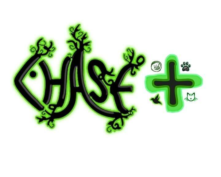 Shop online with CHASE Plus now! Visit CHASE Plus on Lazada.