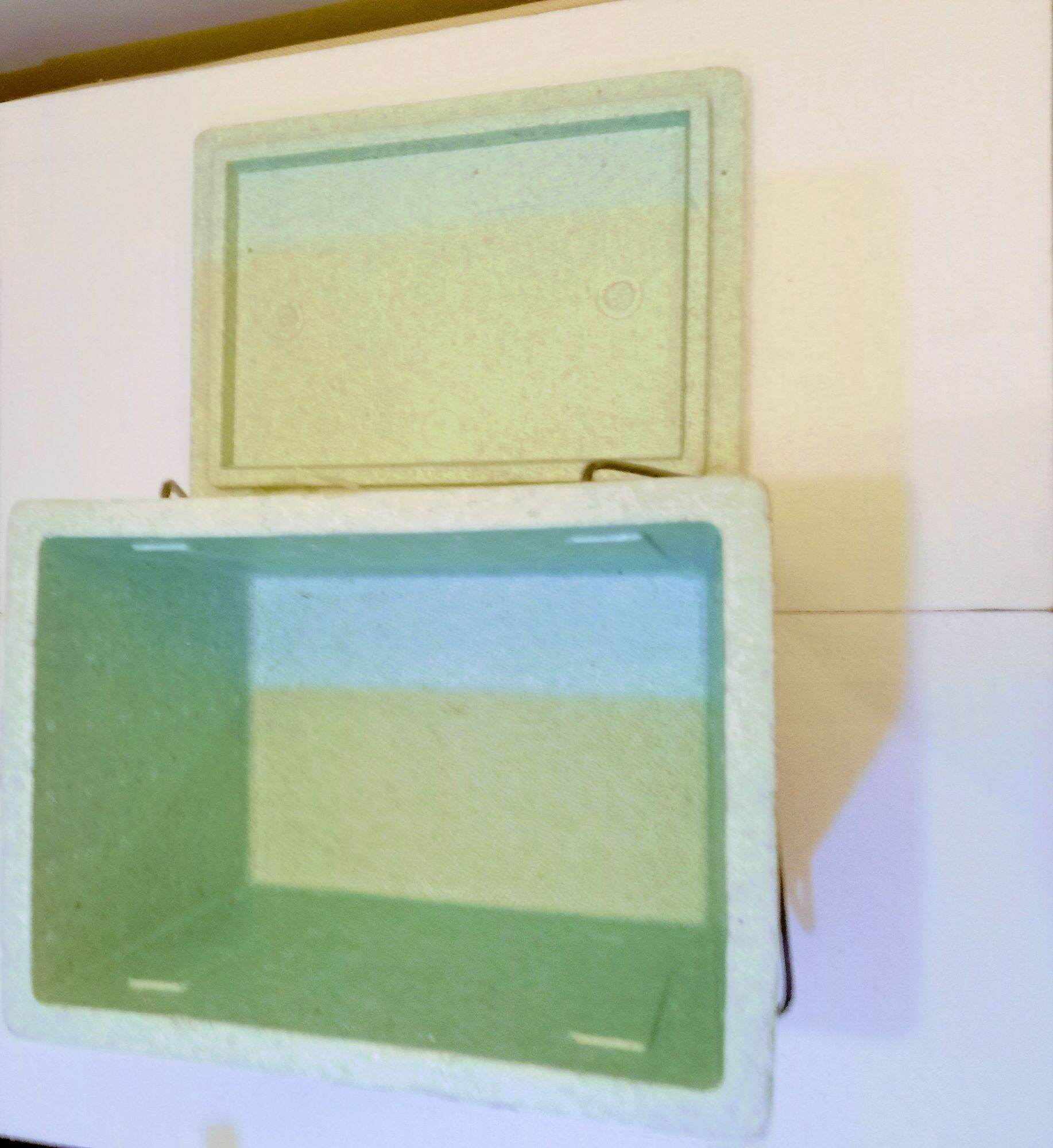 Fiesta Thermo chest Cooler box L-13" x W 15,½" | Lazada PH