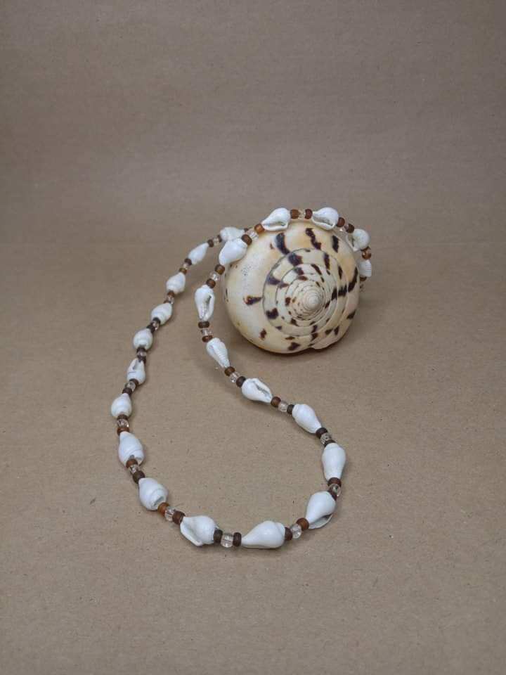 Shell Necklace | Lazada PH