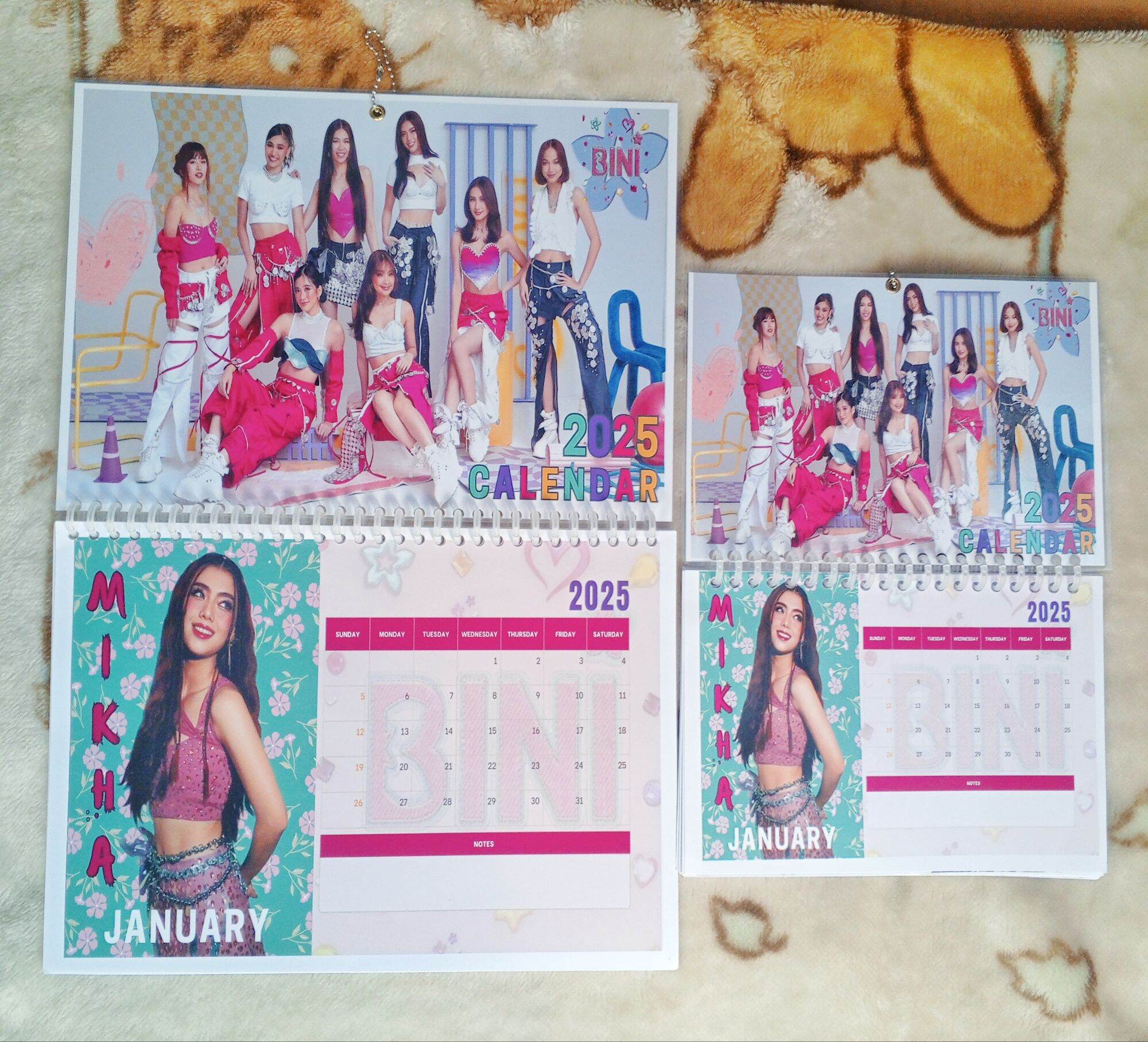 BINI 2025 CALENDAR Laminated | Lazada PH