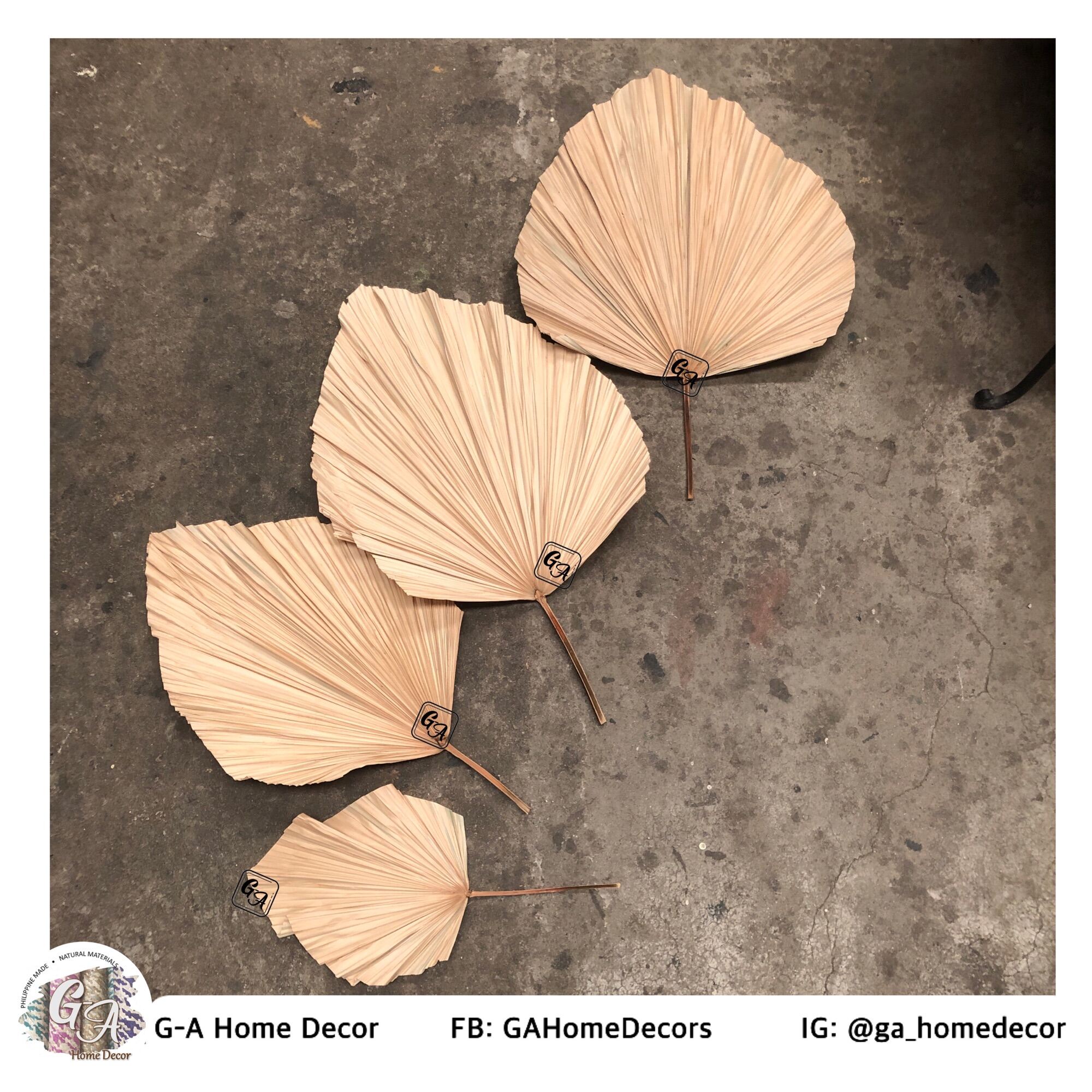 Describe Dried Leaves at Caleb Brownbill blog