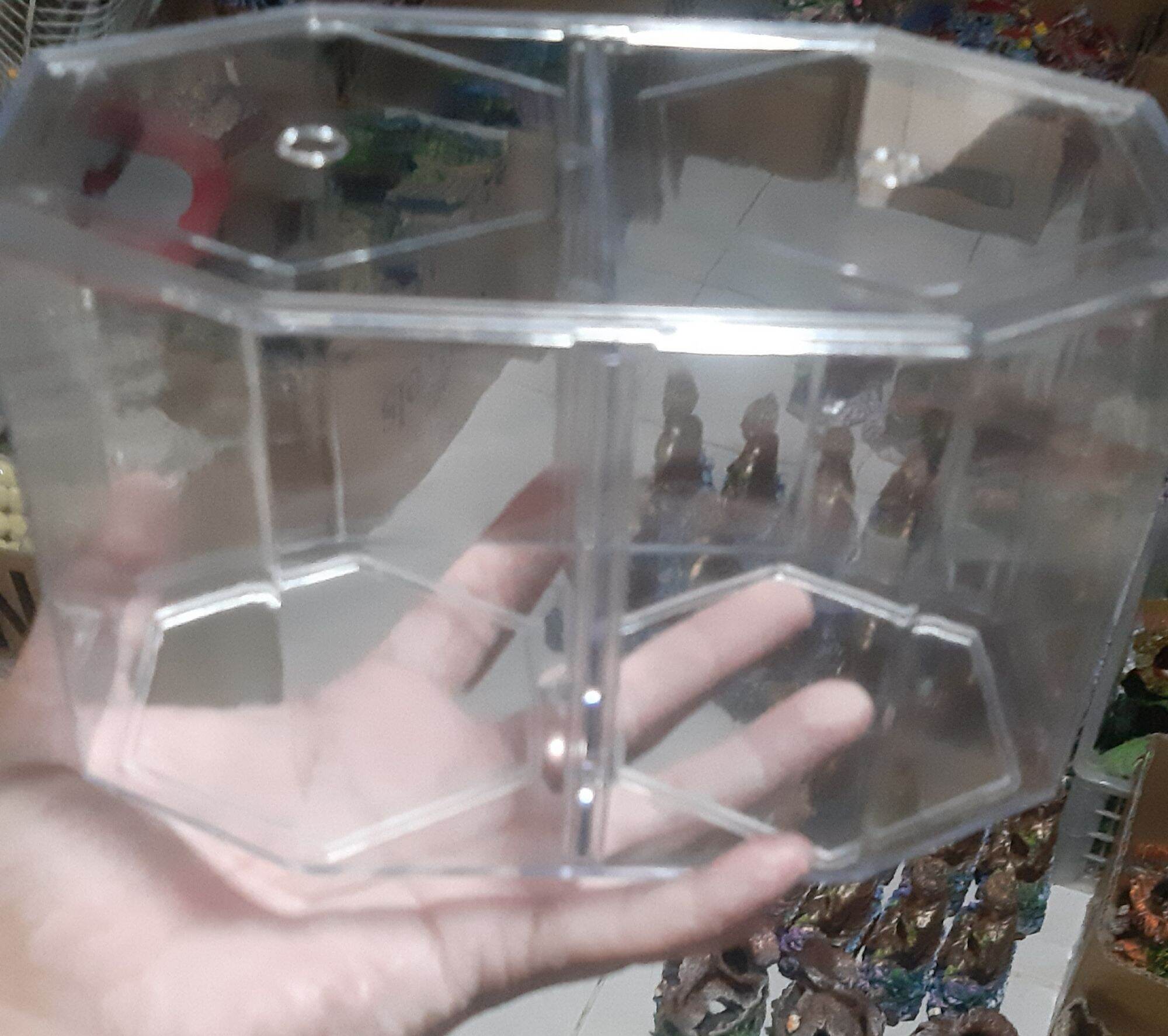 Aquarium Double Betta Fish Tank 2in1 Clear Tank With Divider | Lazada PH