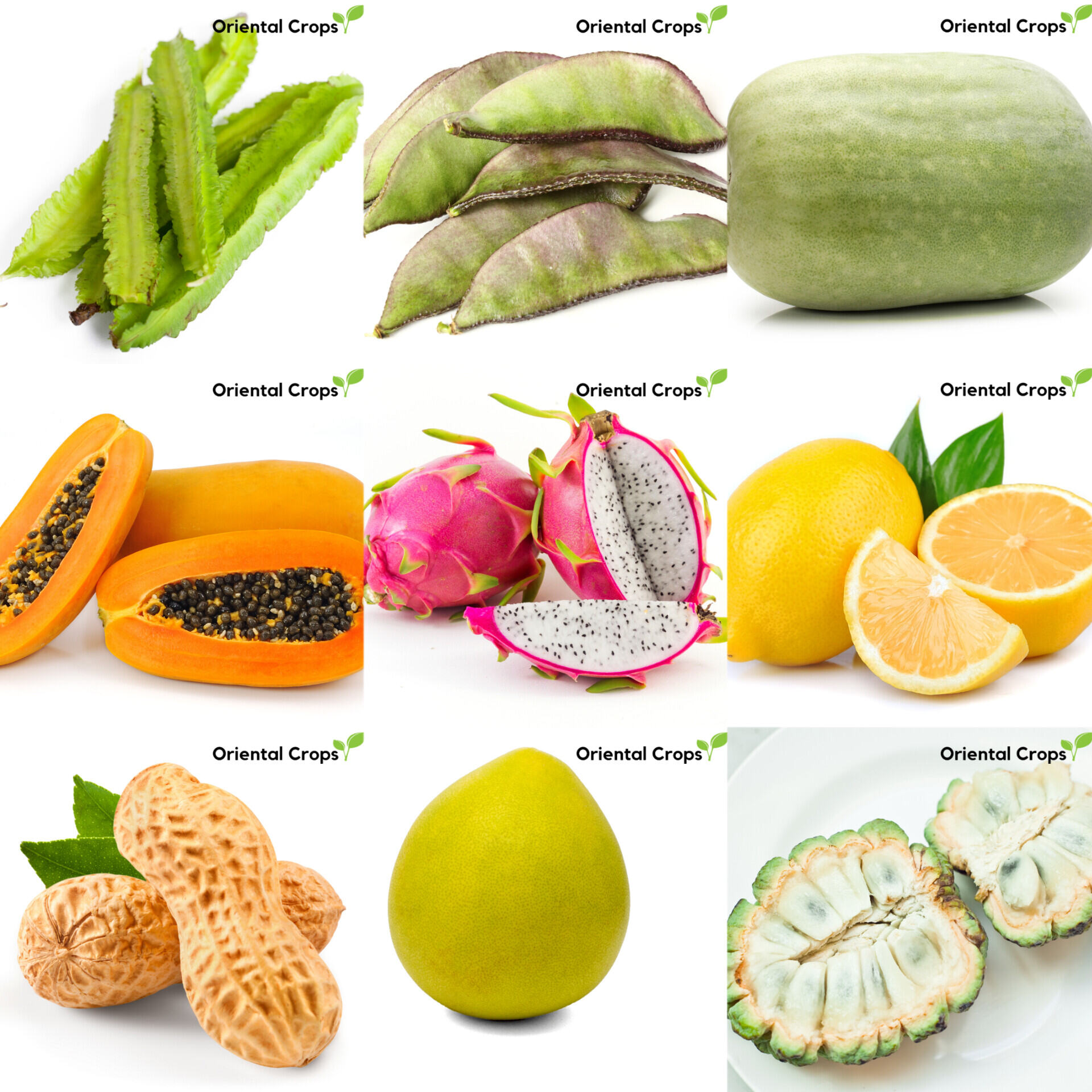 binhi pantanim sigarilyas bataw kundol papaya dragon fruit lemon peanut ...