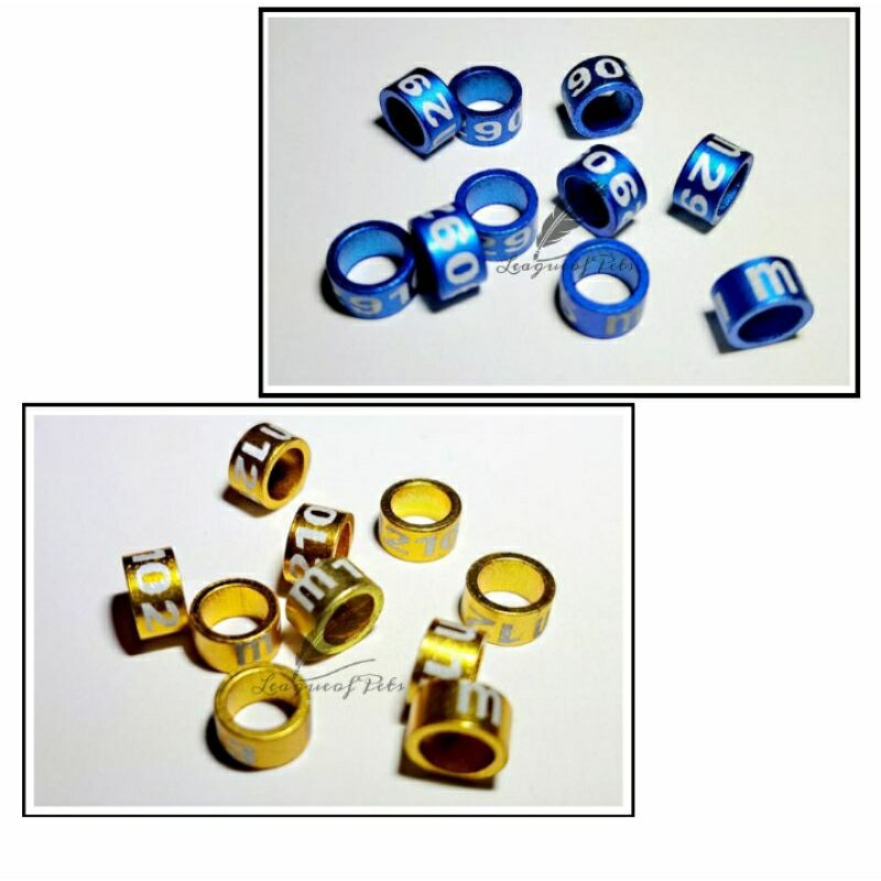 5mm series identification ring african lovebirds albs1 albs 2 | Lazada PH