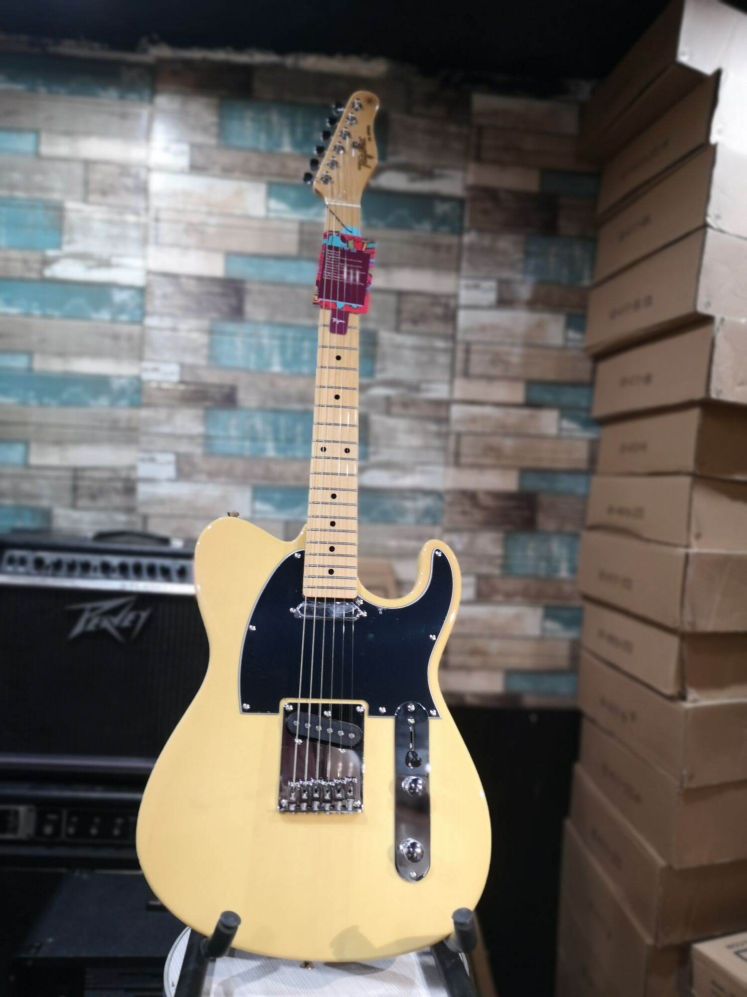 Tagima TW-55 Telecaster | Lazada PH