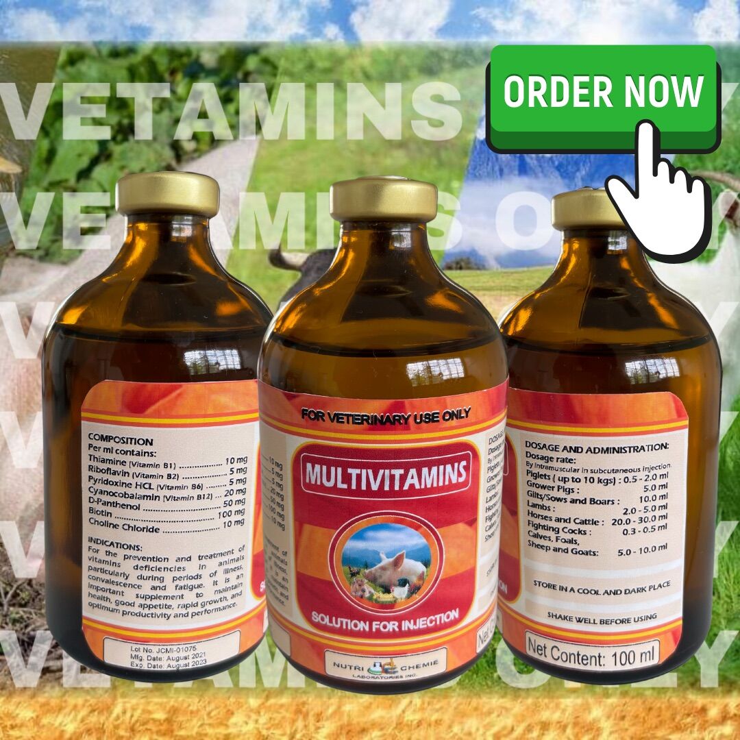 MULTIVITAMINS FOR ANIMALS | 100 ML | VETAMINS ONLY | Lazada PH