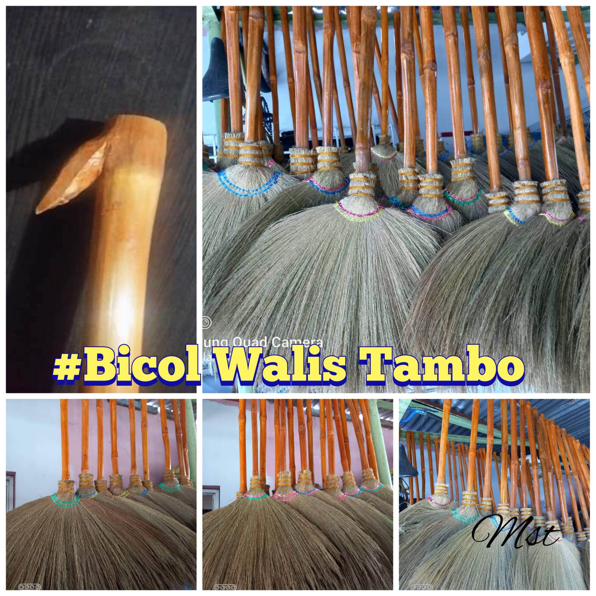 BICOL WALIS TAMBO SOLD PER PIECE | Lazada PH