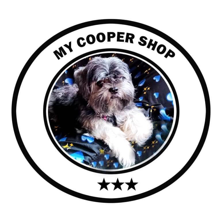My Cooper Shop Official Store in the Philippines, Online Shop 05 2025