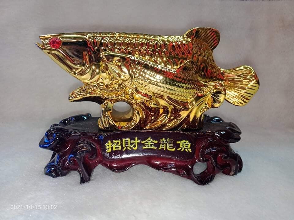AROWANA WEALTH FISH DISPLAY FIGURINE COUNTERTOP FENG SHUI | Lazada PH