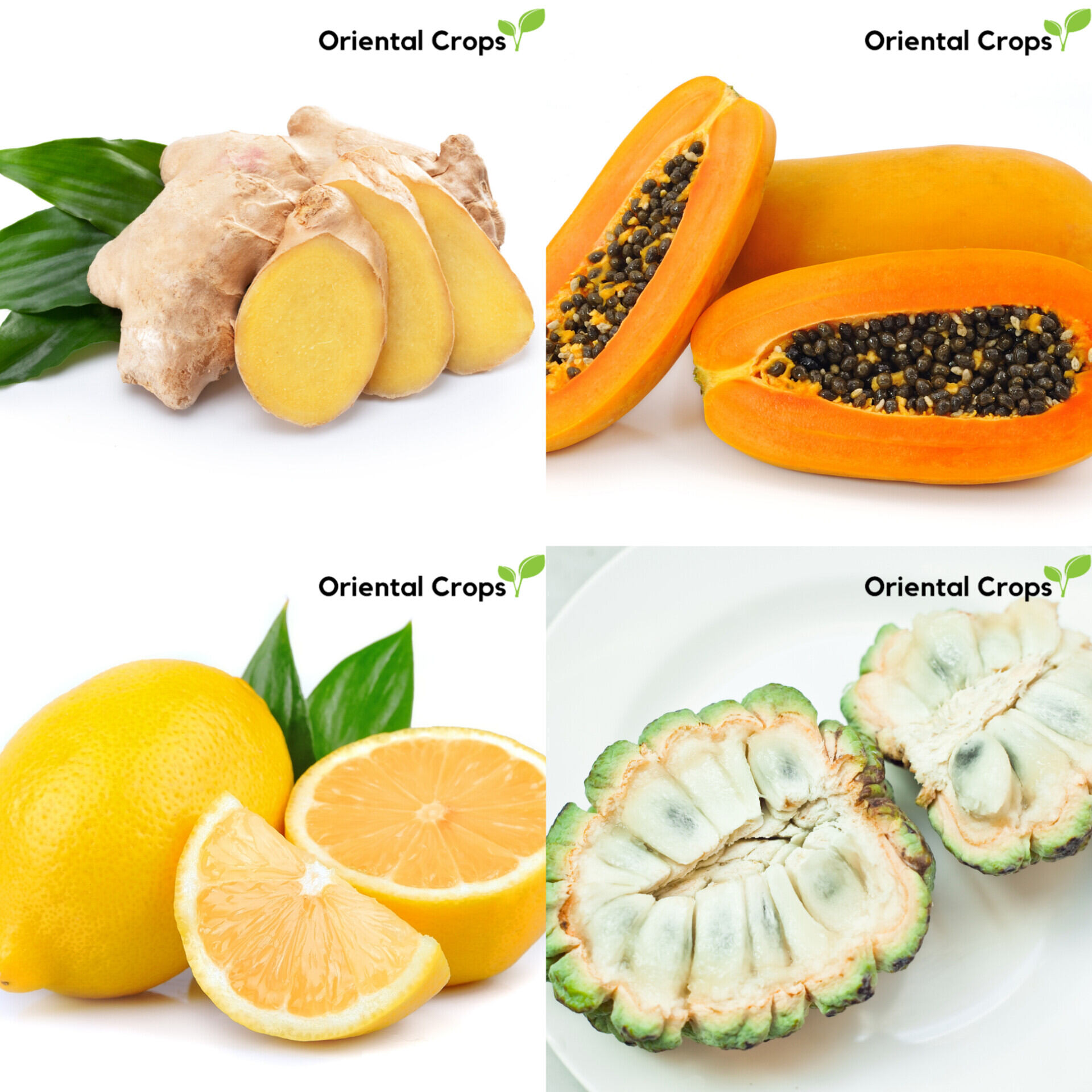 binhi pantanim seeds for planting luya dwarf papaya lemon atis | Lazada PH