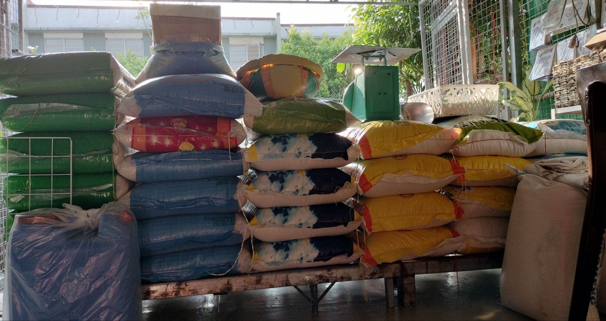 bigas for sale | Lazada PH: Buy sell online Grains with cheap price ...