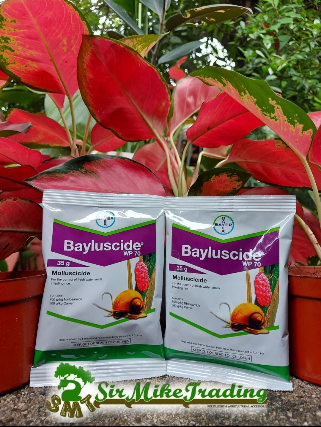 Bayluscide WP 70 35 grams Snail/slug killer by Bayer (100% Authentic ...