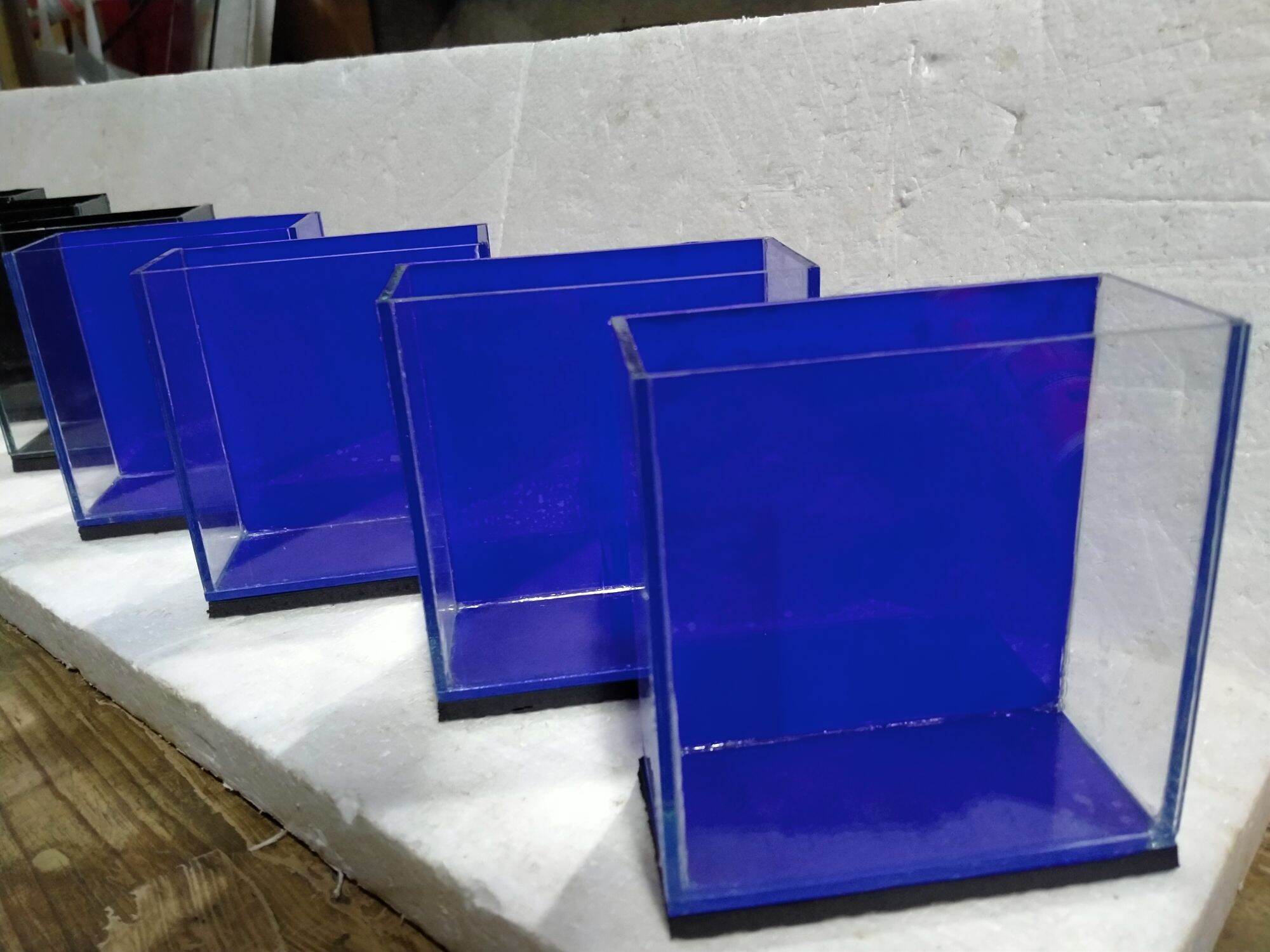 Show tank/Viewing aquarium tank for guppies & small fishes | Lazada PH