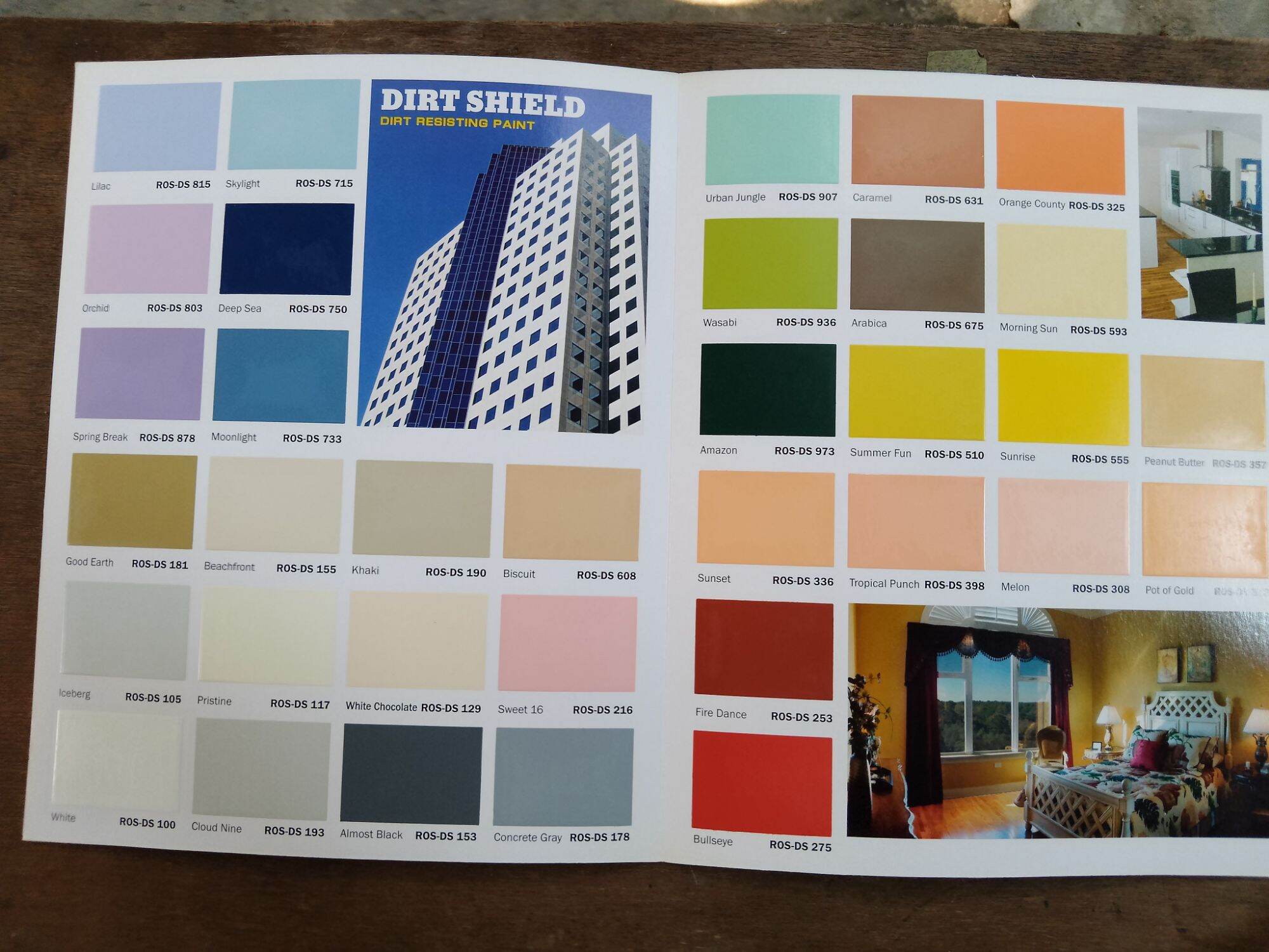 RAIN OR SHINE DIRT SHIELD COLOR CHART COMPLETE GUIDE | Lazada PH