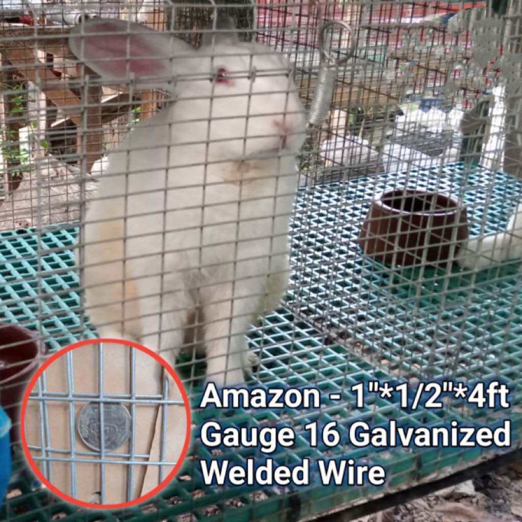 Per 5 Mtr | 16 Welded Wire Hot Dipped | For Rabbit Cage, Plant Pole ...