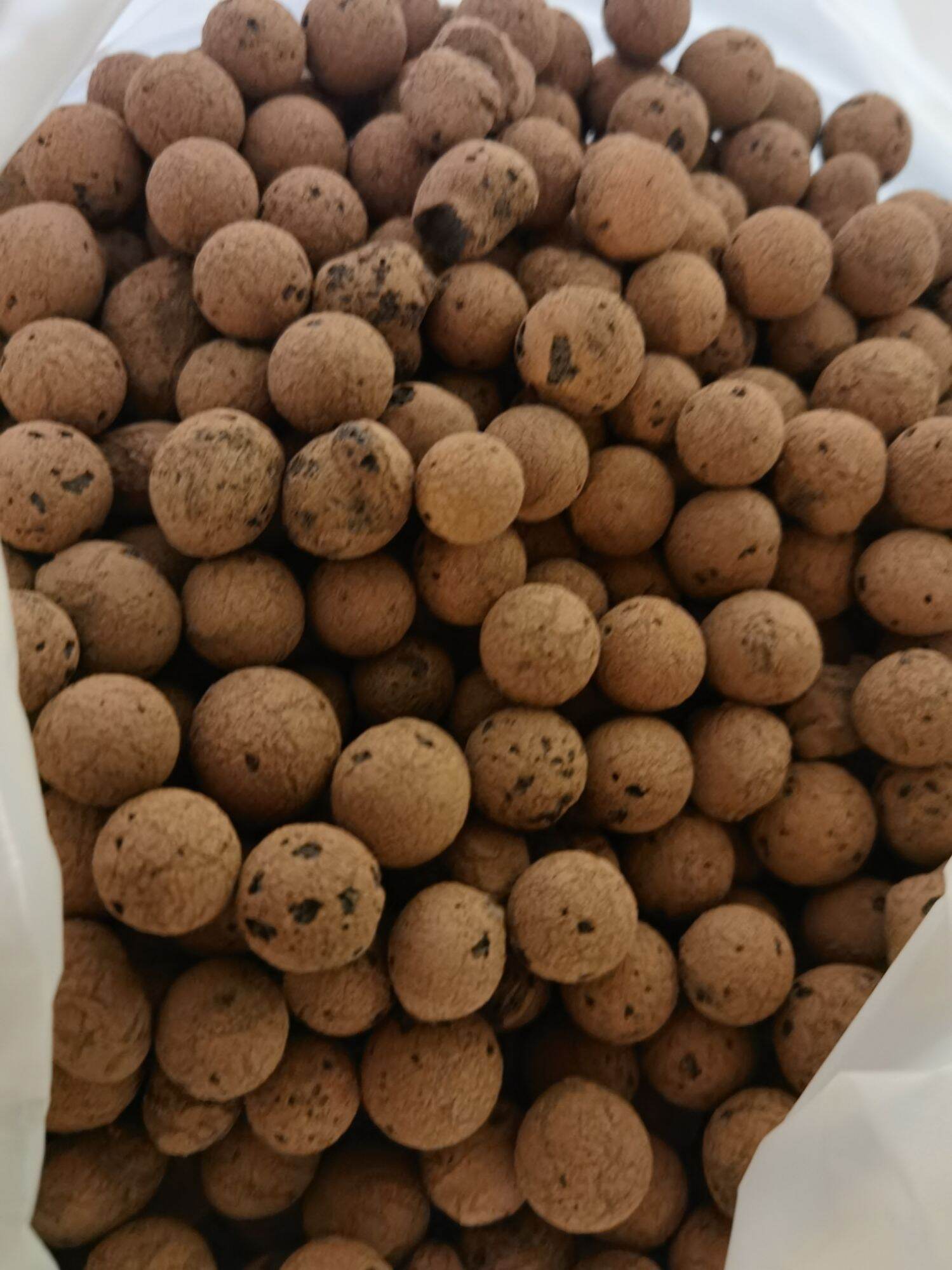 HYDROTON (small and large) | Lazada PH