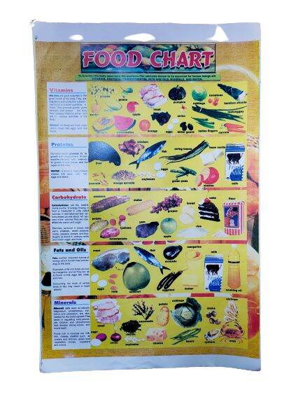 EDUCATIONAL CHART Paper | Lazada PH