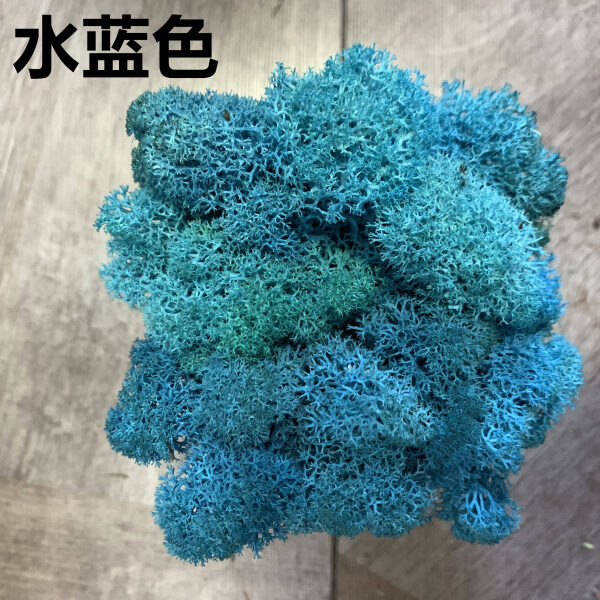 Preserved Fresh Flower Moss Plant Wall Moss Wall Hotel Decoration Moss ...