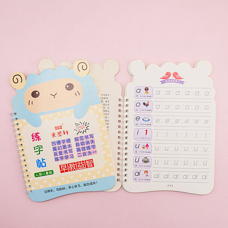 Chinese Pinyin Alphabet Young STUDENT'S Initial Consonant Vowel Overall ...