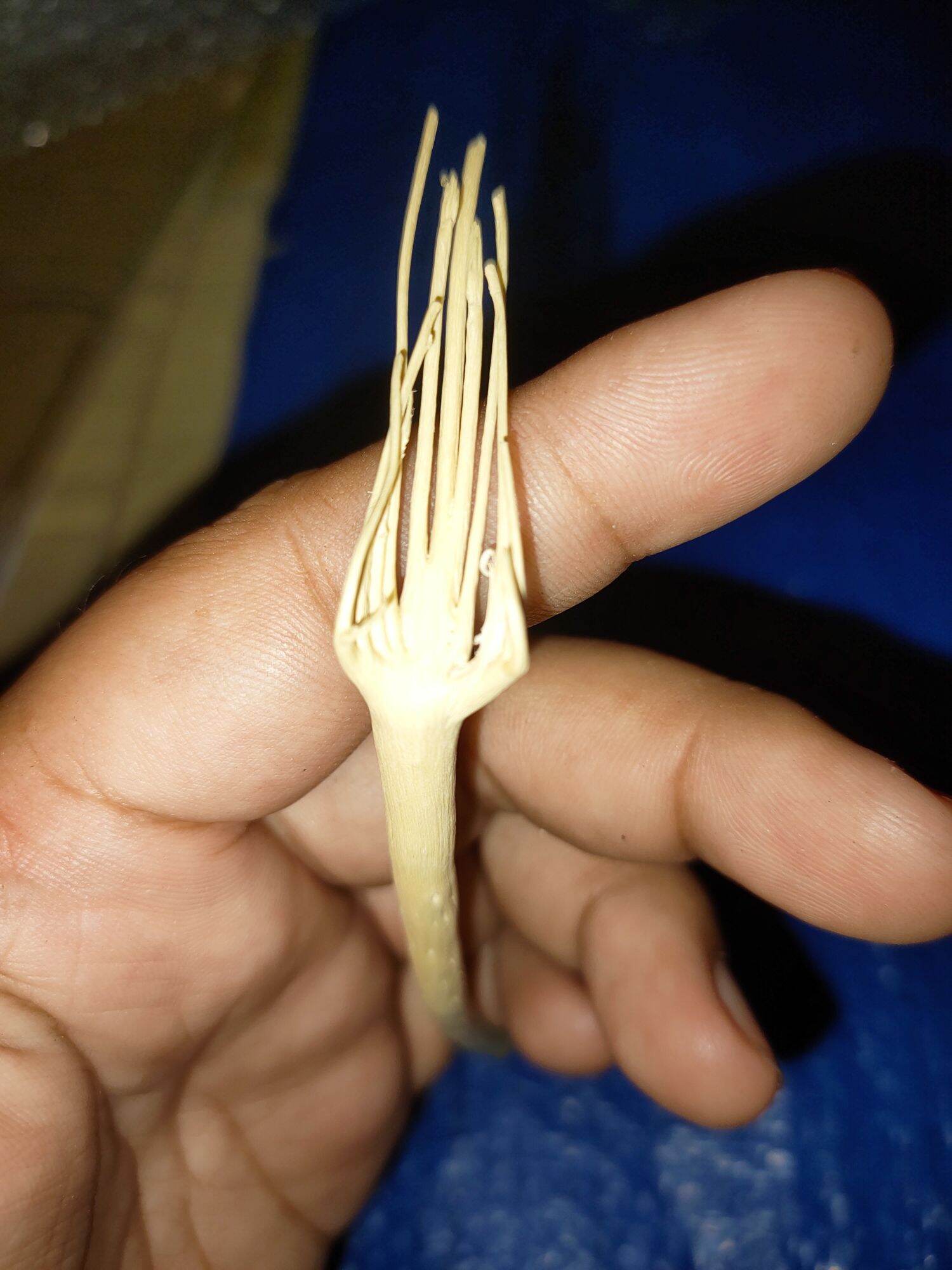 Tagupaypay panawag customer !!! | Lazada PH