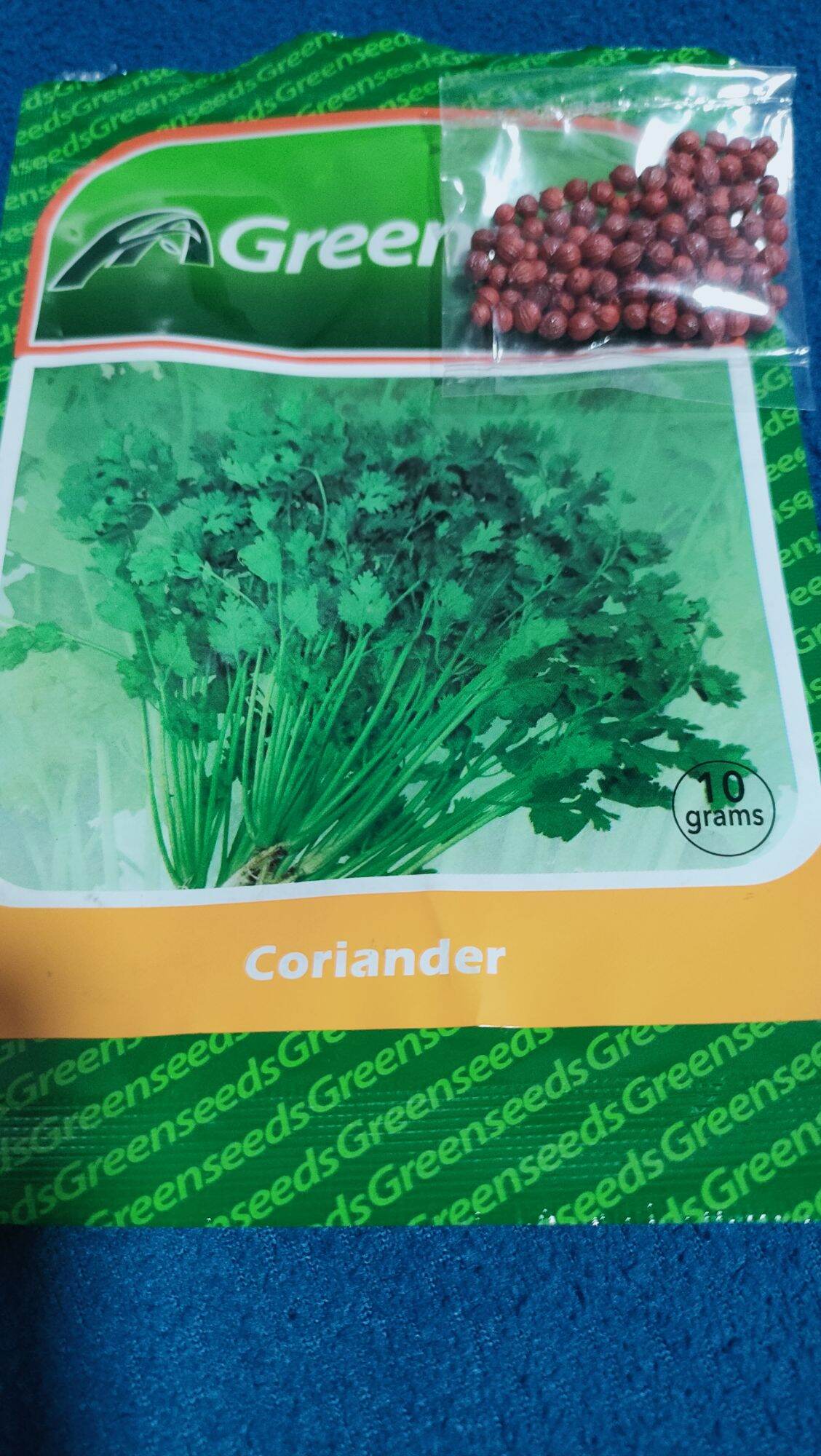 Coriander Seeds 100pcs per pack | Lazada PH