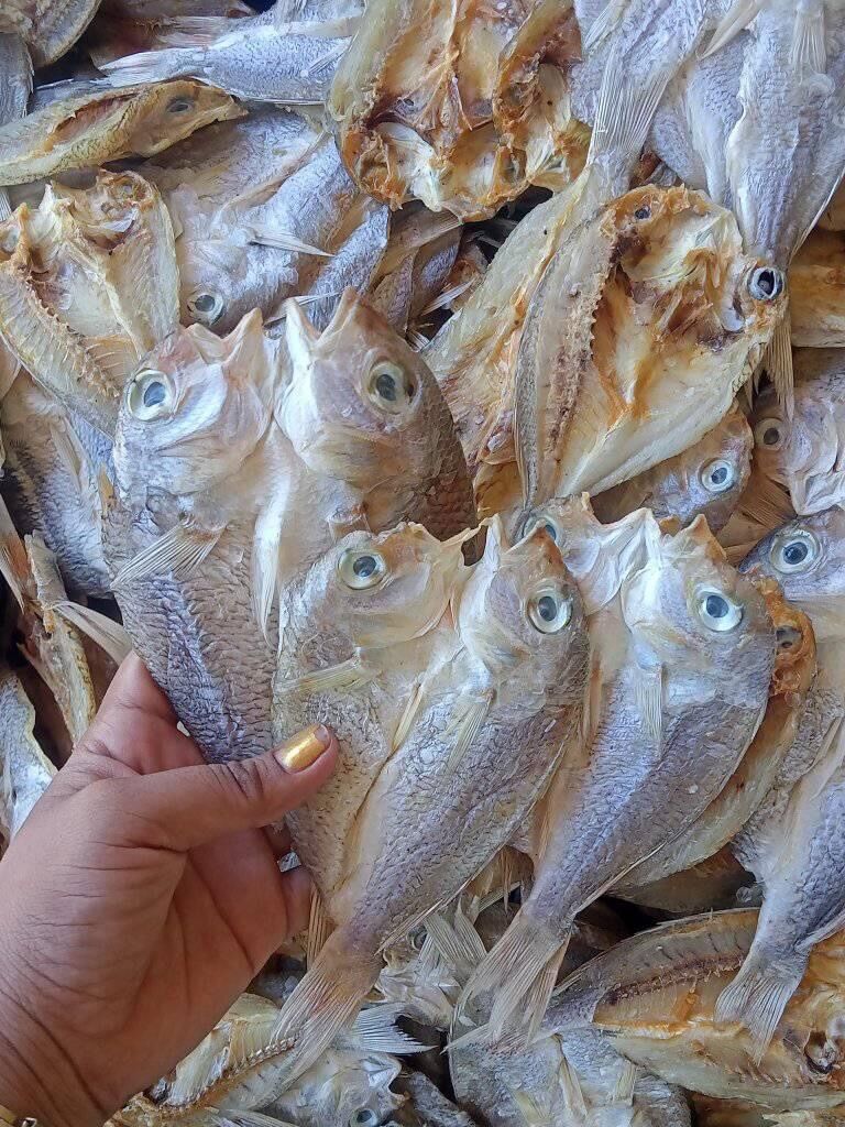 1kg white bisugo /isda sa Bato Well dried Best Buy! Bulad quality ...
