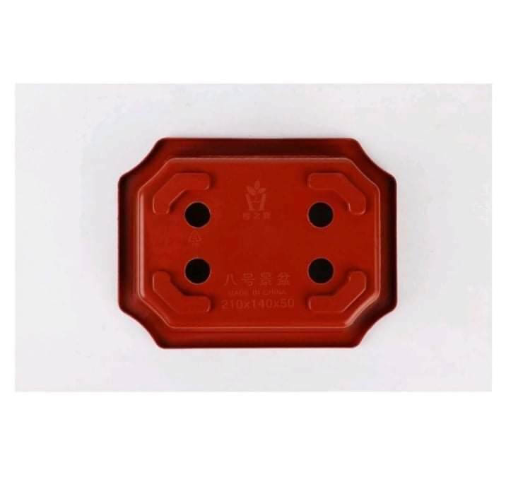 RECTANGULAR PLASTIC POT WITH HOLE 14cm, 16cm, 18cm | Lazada PH