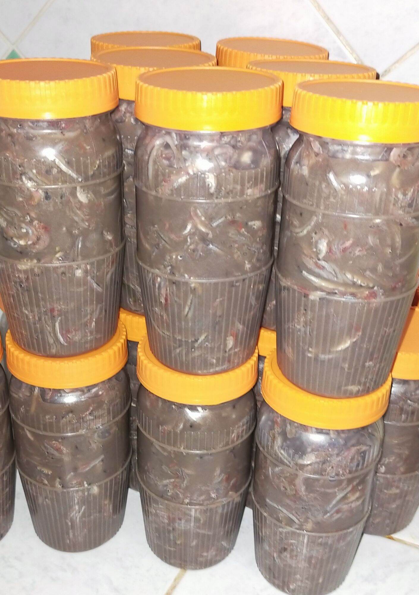 Ginamos Malos From BOHOL 650gms | Lazada PH