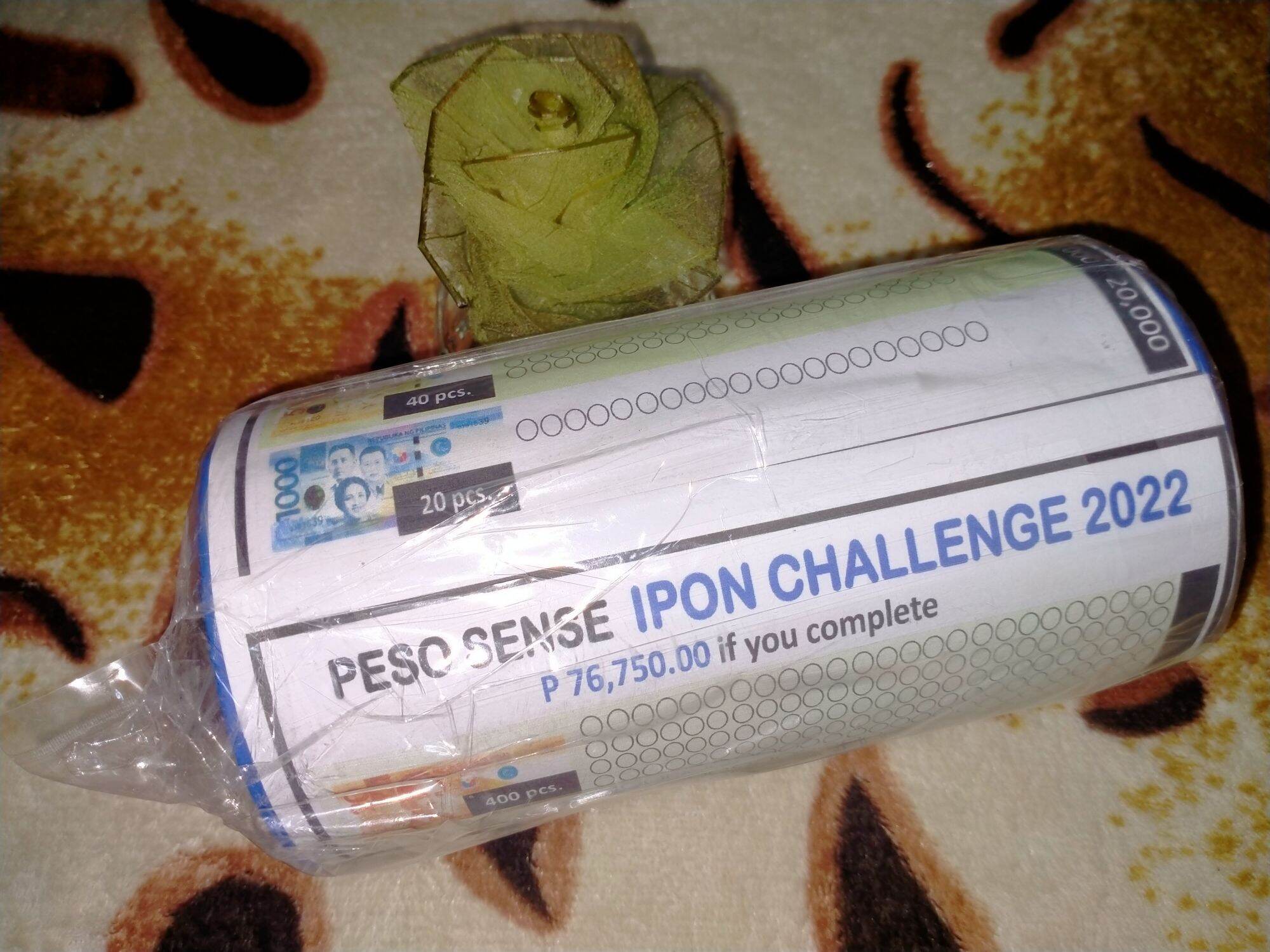 Alkansya Pesos Sense Ipon Challenge | Lazada PH Alkansya Pesos Sense Ipon Challenge | Lazada PH