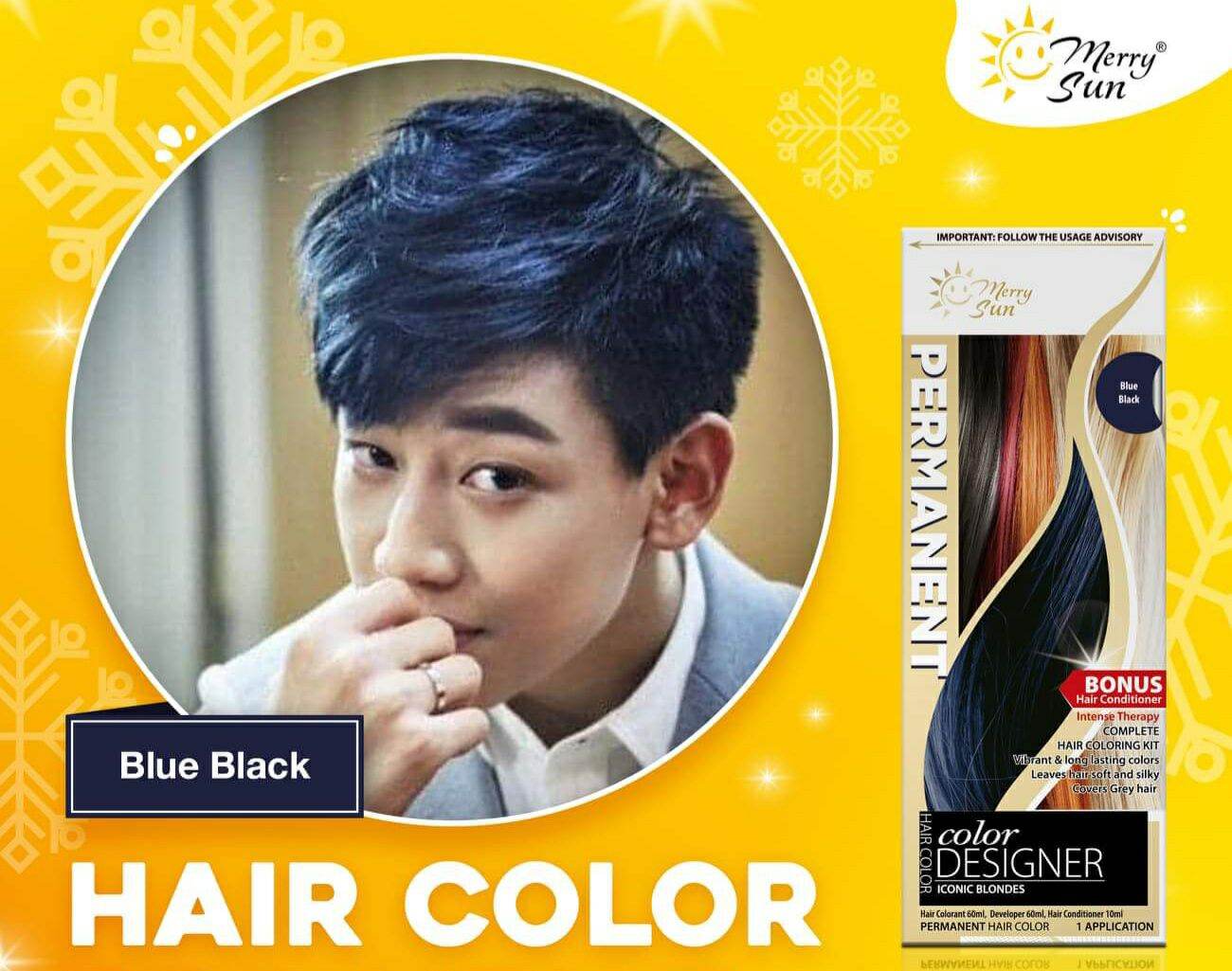 Merry Sun Permanent Hair Color | Lazada PH