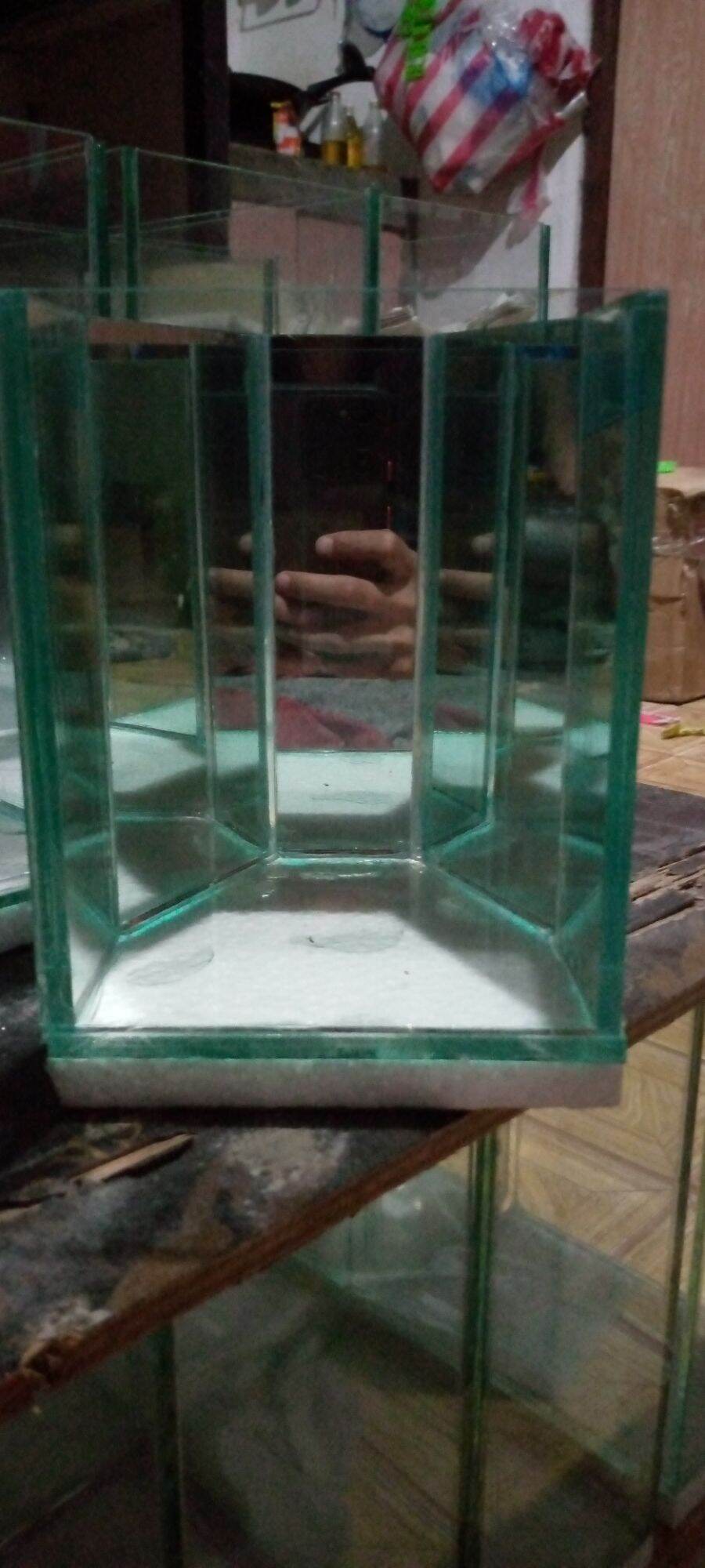 5x6 inches Viewing Tank/Mirror Tank (makapal ang glass) | Lazada PH
