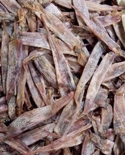 Dried Pusit Ballpen 350g - Melania's Fruits, Vegetables, Cured Meat ...