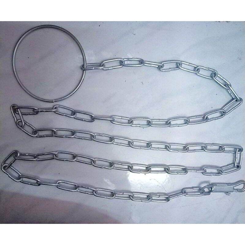 Thick Dog Chain with Ring Handle | Lazada PH