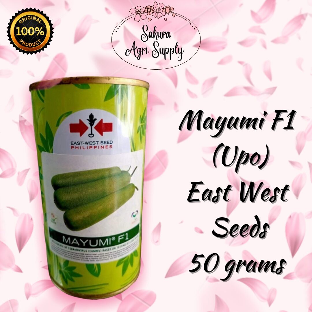 EAST WEST Mayumi F1 Bottle Gourd Seeds | Lazada PH